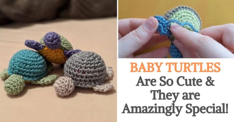 These Crocheted Baby Turtles Are So Cute and They are Amazingly Special!