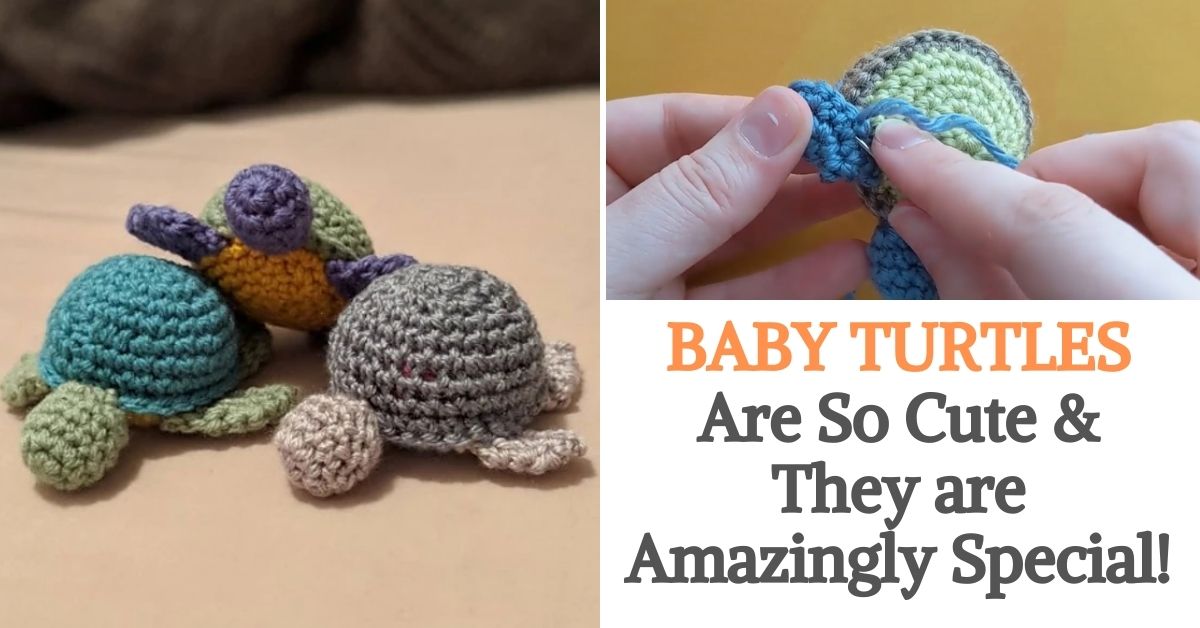These Crocheted Baby Turtles Are So Cute and They are Amazingly Special!