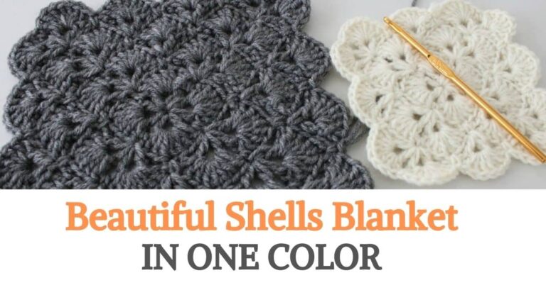 Beautiful Shells Blanket In One Color