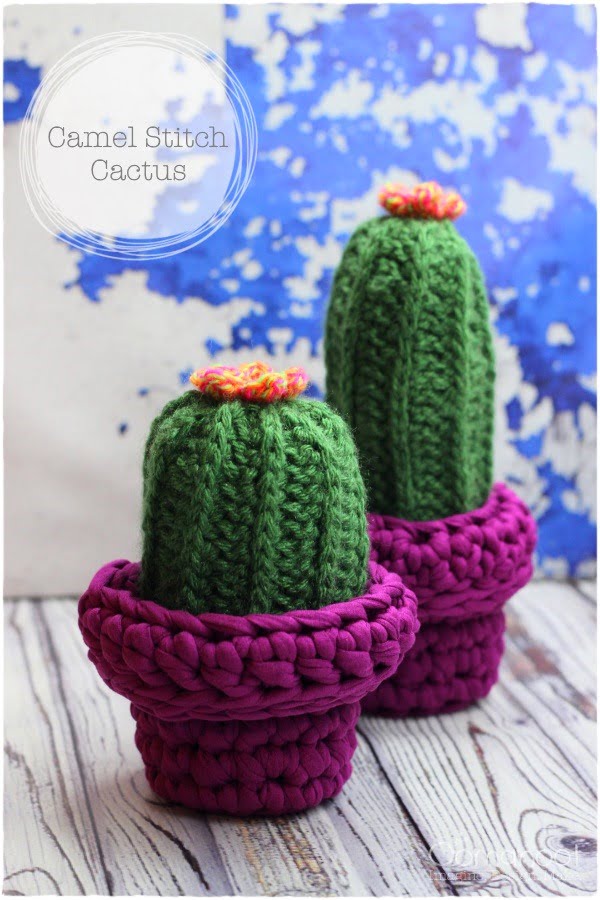 Cuddly Camel Stitch Cactus [Step by Step]