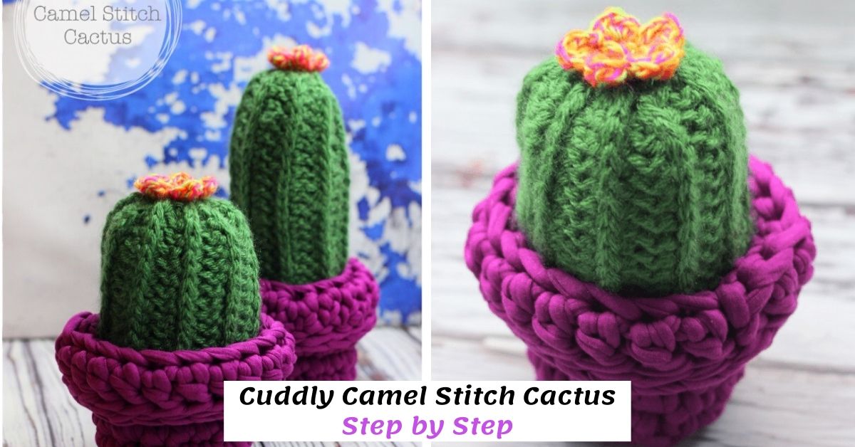 Cuddly Camel Stitch Cactus [Step by Step]