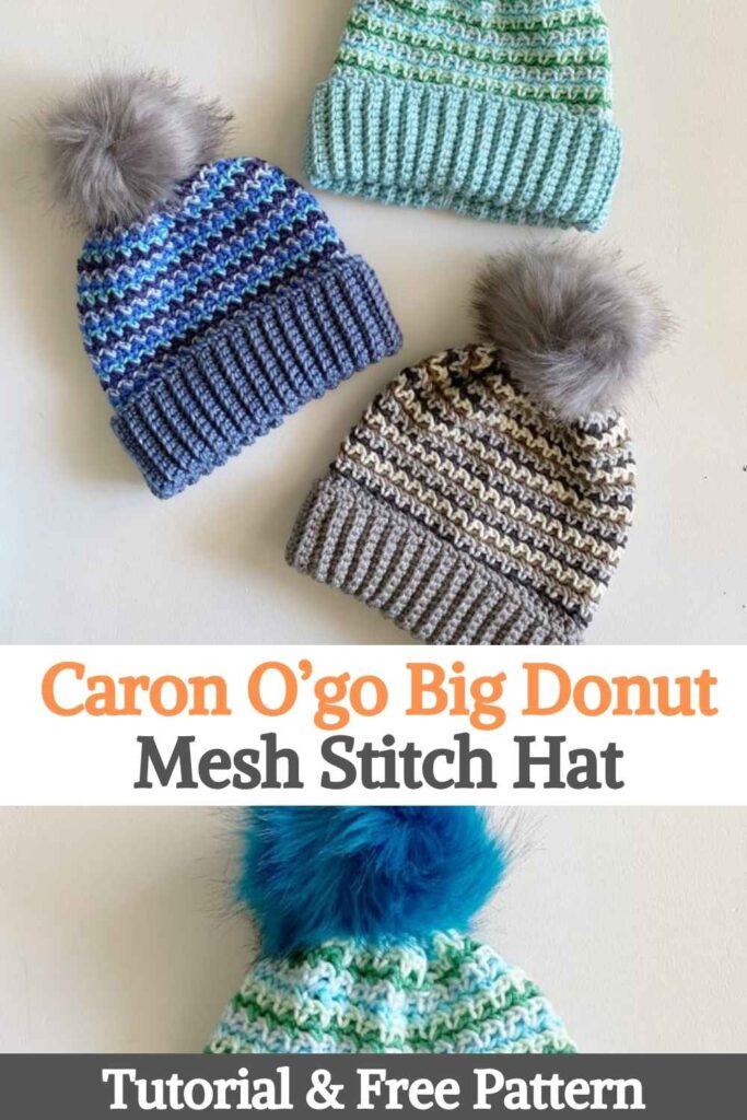 Caron O’go Big Donut Mesh Stitch Hat