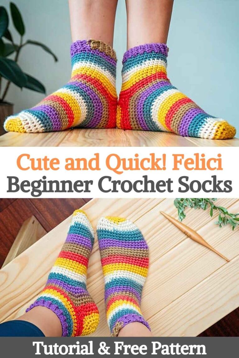 Cute and Quick! Felici Beginner Crochet Socks