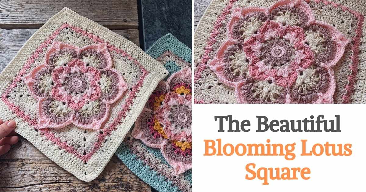 The Beautiful Blooming Lotus Square