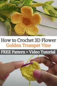 How to Crochet 3D Flower Golden Trumpet Vine