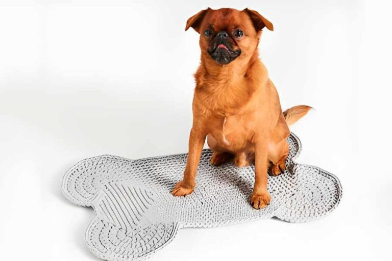 How to Crochet a Bone-Shaped Dog Mat