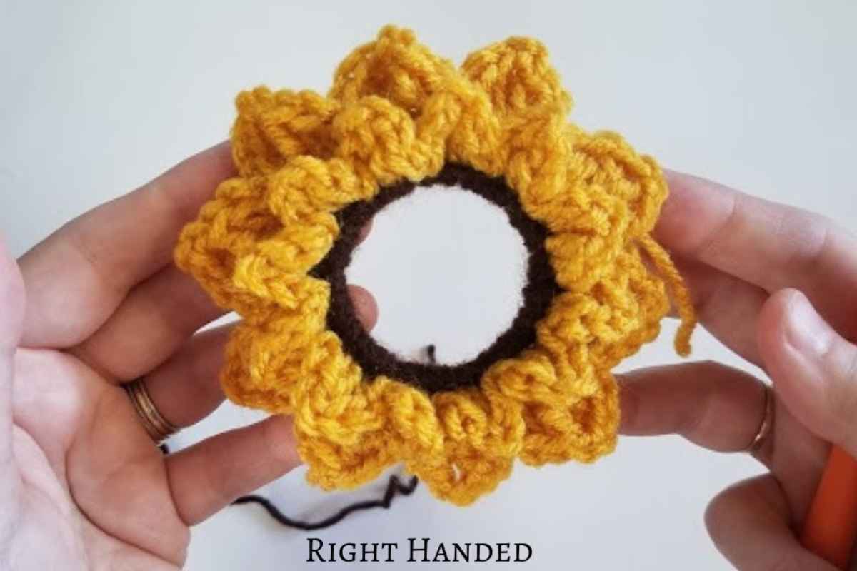 Create The Beautiful Sunflowers Crochet Pattern!