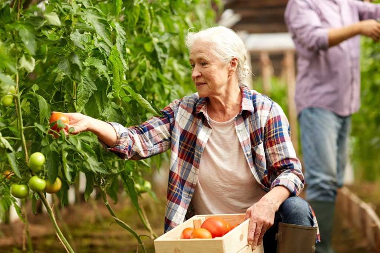 Gardening in Old Age (8 Tips that Make Things a lot Easier)