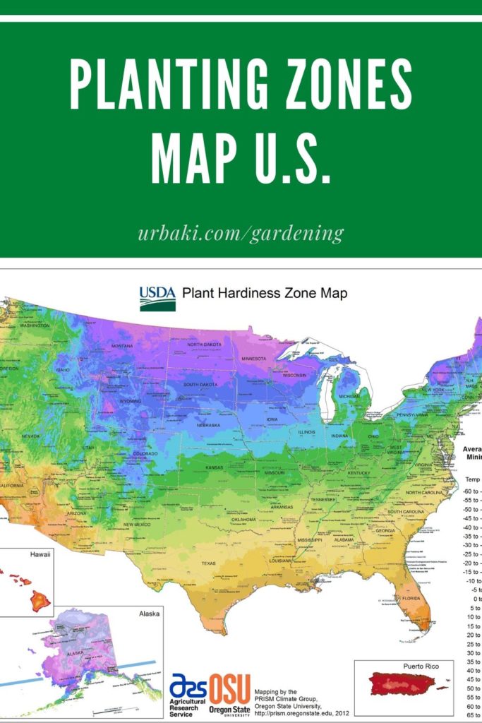 Planting Zones Map United States