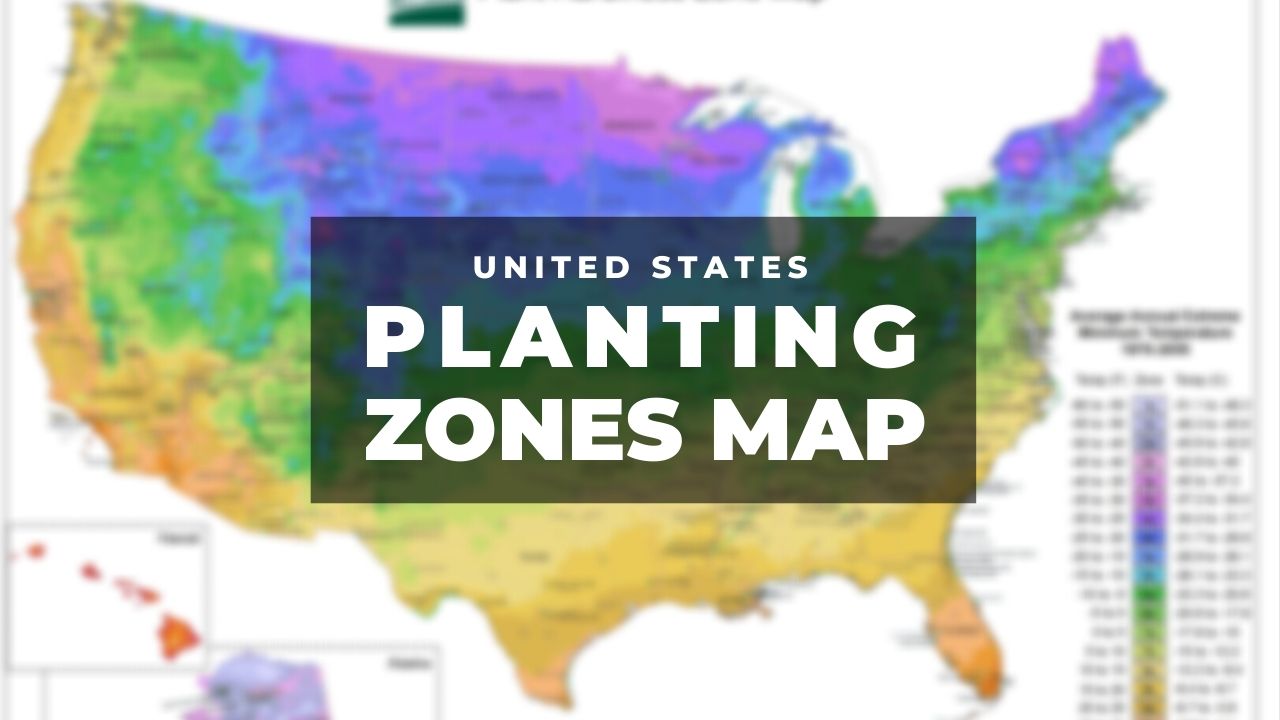 Planting Zones Map United States