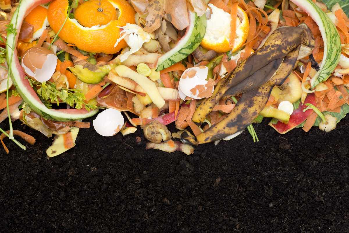 7 Ways to IMPROVE the QUALITY of Your Soil!