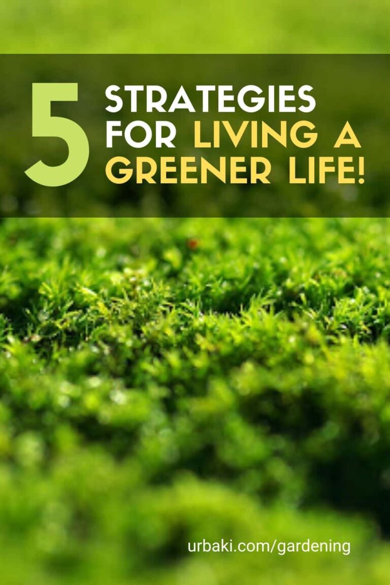 5 Strategies for Living a GREENER LIFE!