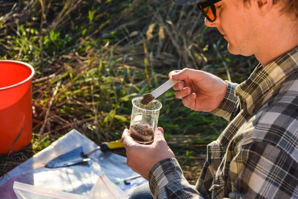 7 Ways to IMPROVE the QUALITY of Your Soil!