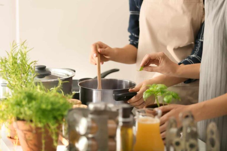 Basil a Popular Herb for Culinary Uses (Plant Profile)