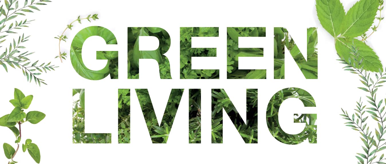 5 Strategies for Living a GREENER LIFE!