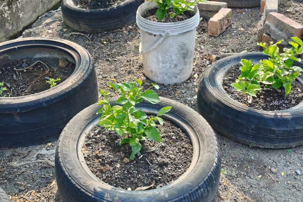 How to Turn Used Car Tire Into a Beautiful Flower Pot
