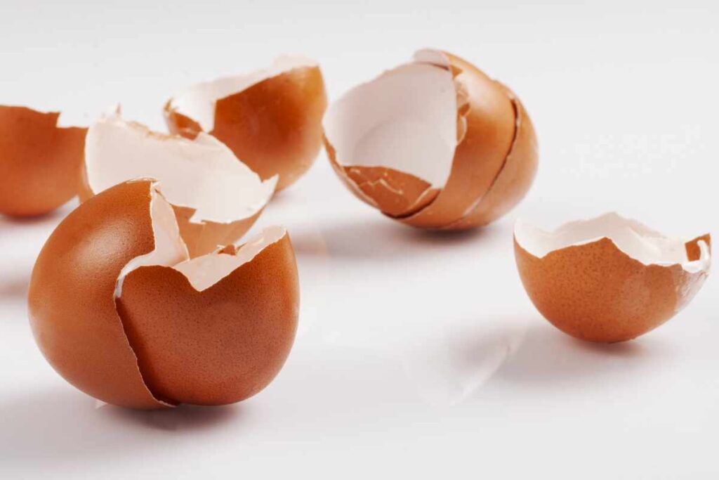 How to Use Eggshells in the Garden (5 Quick Tips)