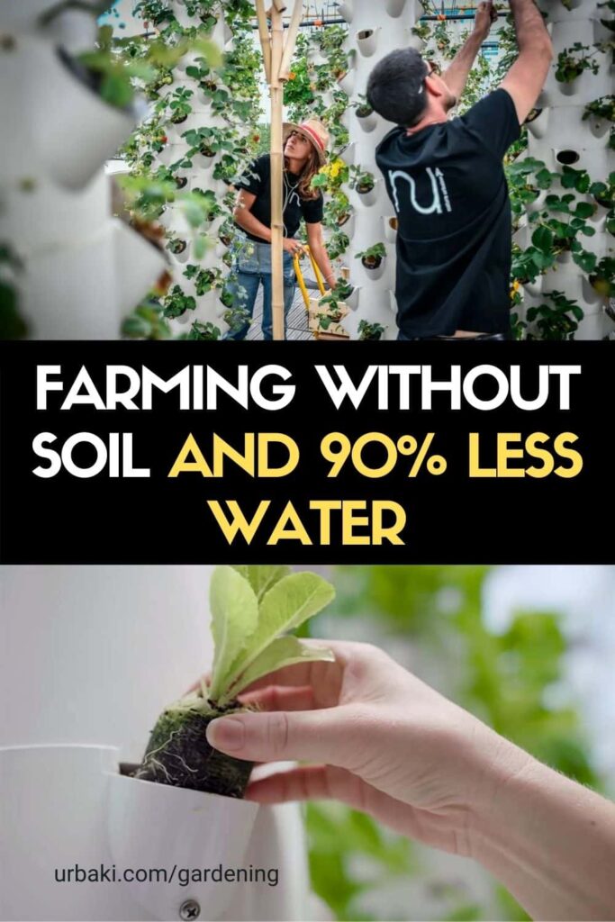 Farming Without Soil and 90% Less Water