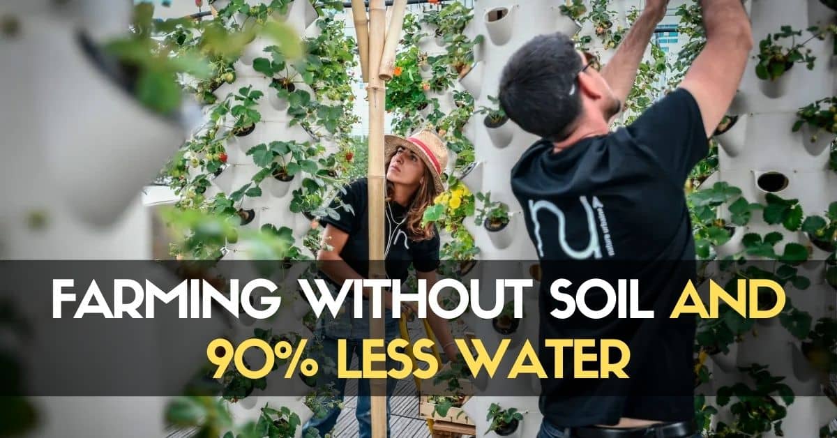 Farming Without Soil and 90% Less Water