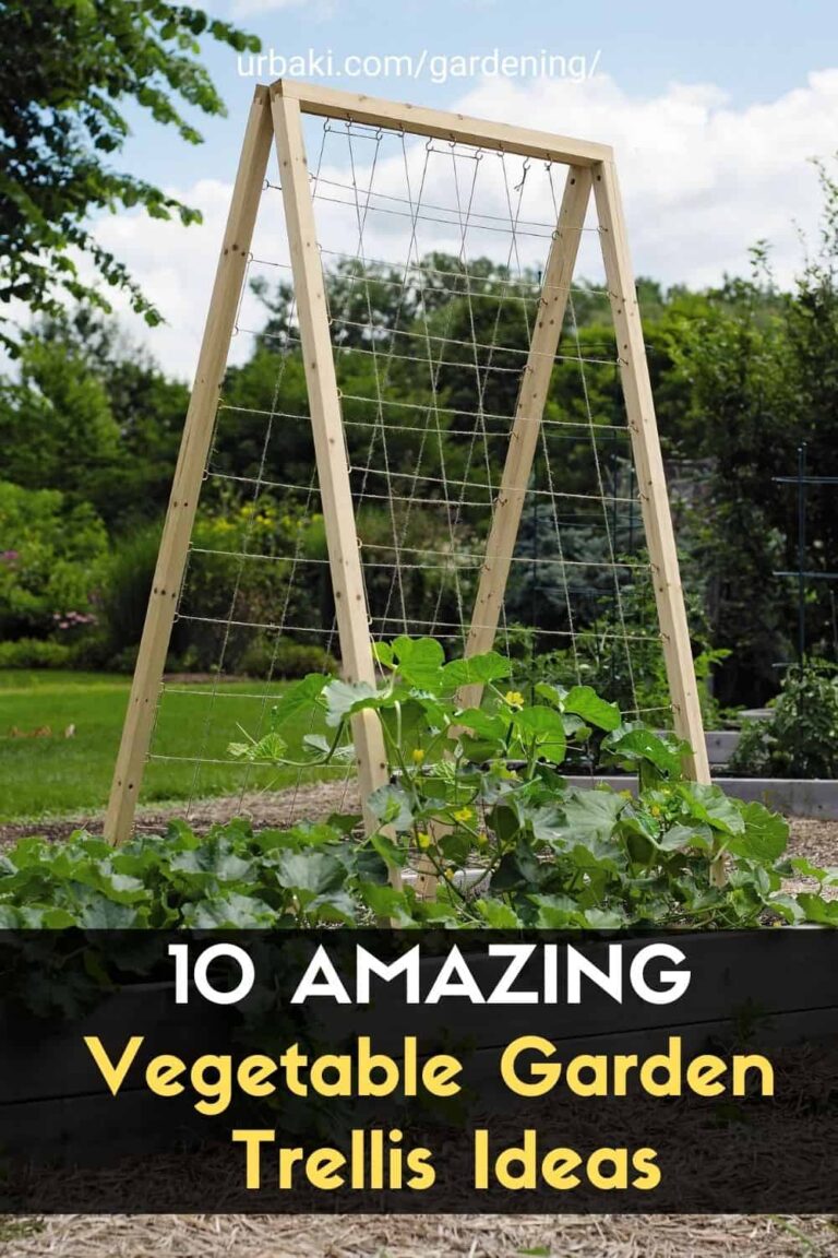 10 AMAZING Vegetable Garden Trellis Ideas