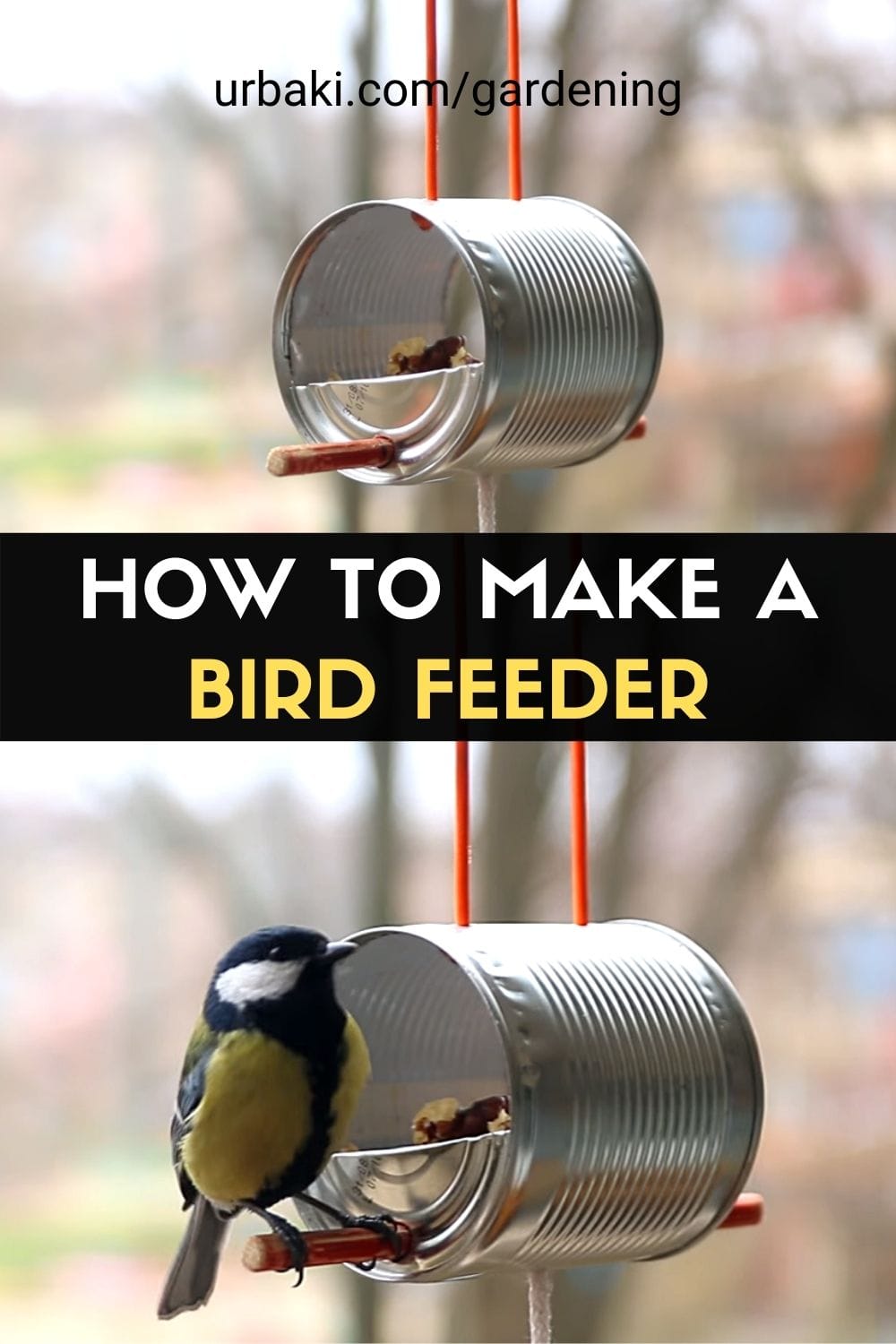 How to Make a Bird Feeder