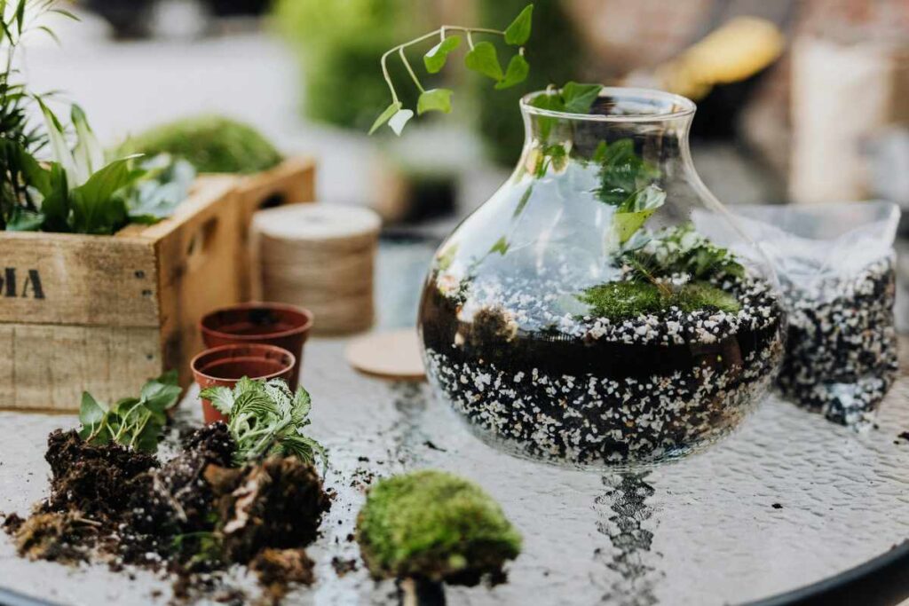 How to Make a Terrarium