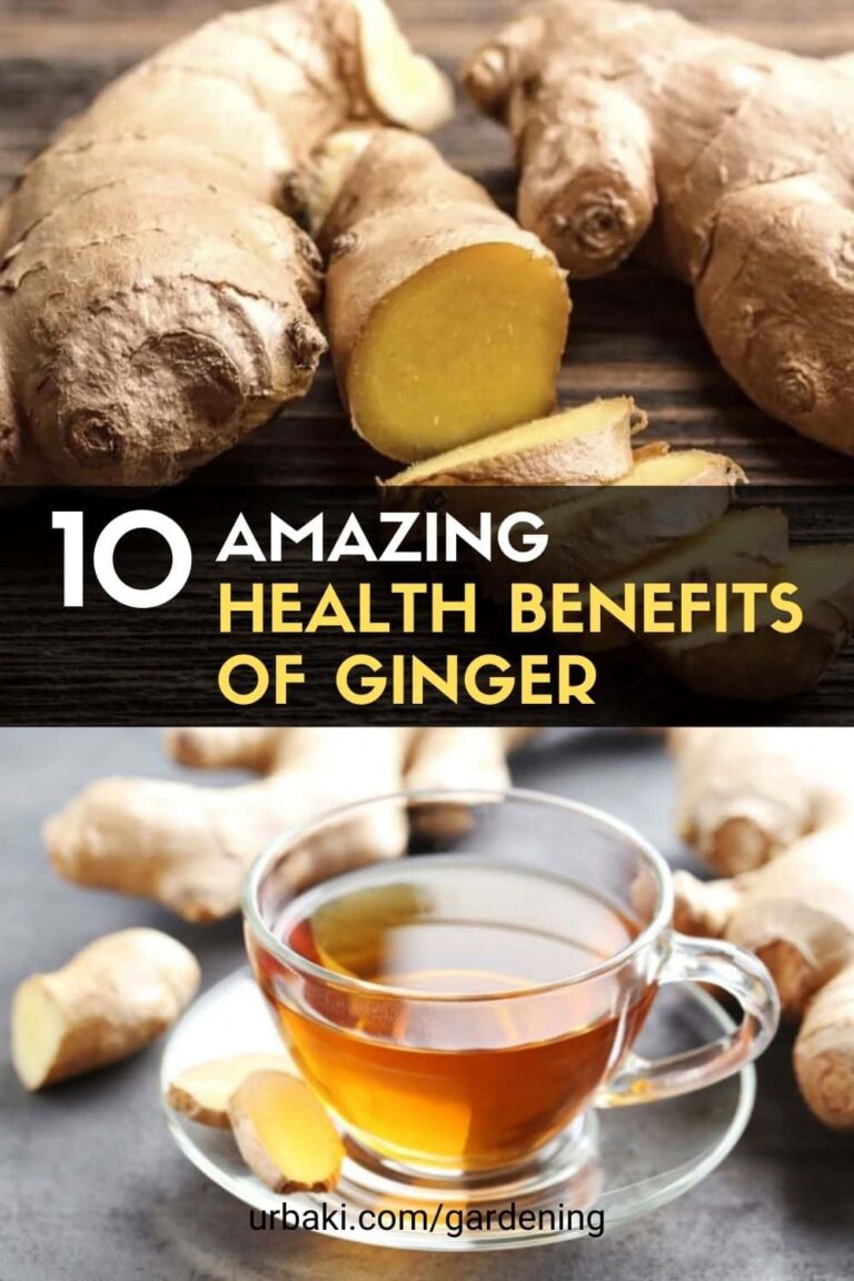 10 Amazing Health Benefits of Ginger
