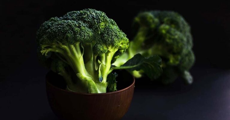 5 EASY TIPS for Growing Broccoli in Containers