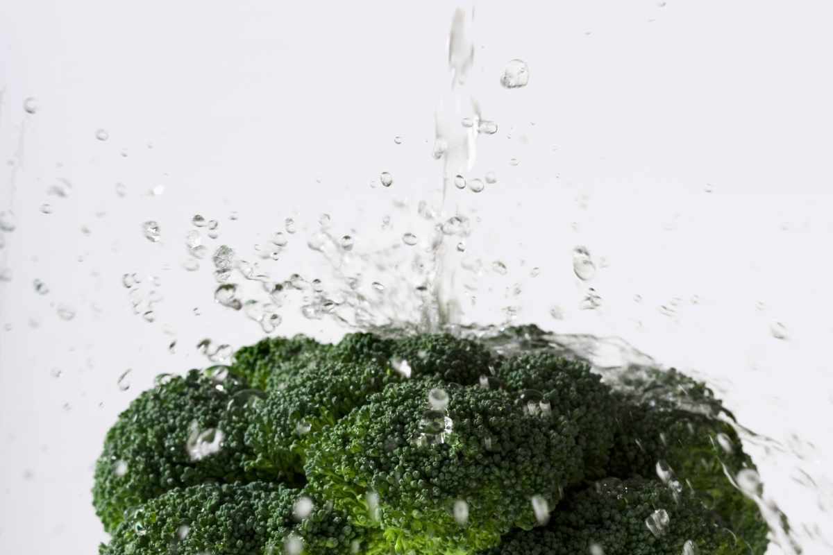 5 EASY TIPS for Growing Broccoli in Containers
