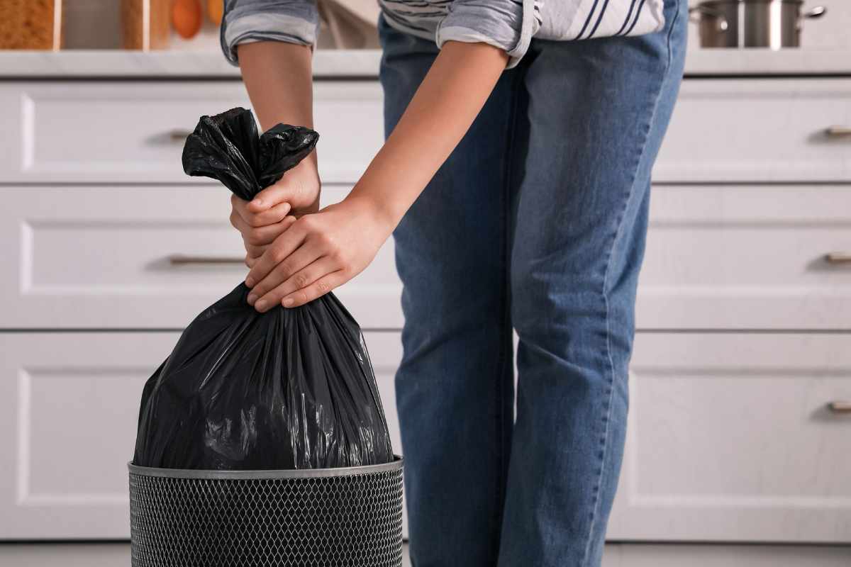 How to Get Rid of Gnats Indoors