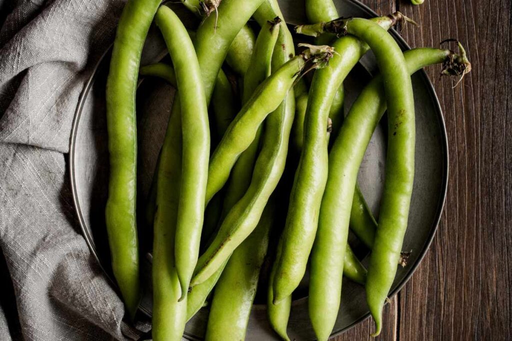 50+ Plants You Can Grow in Spring