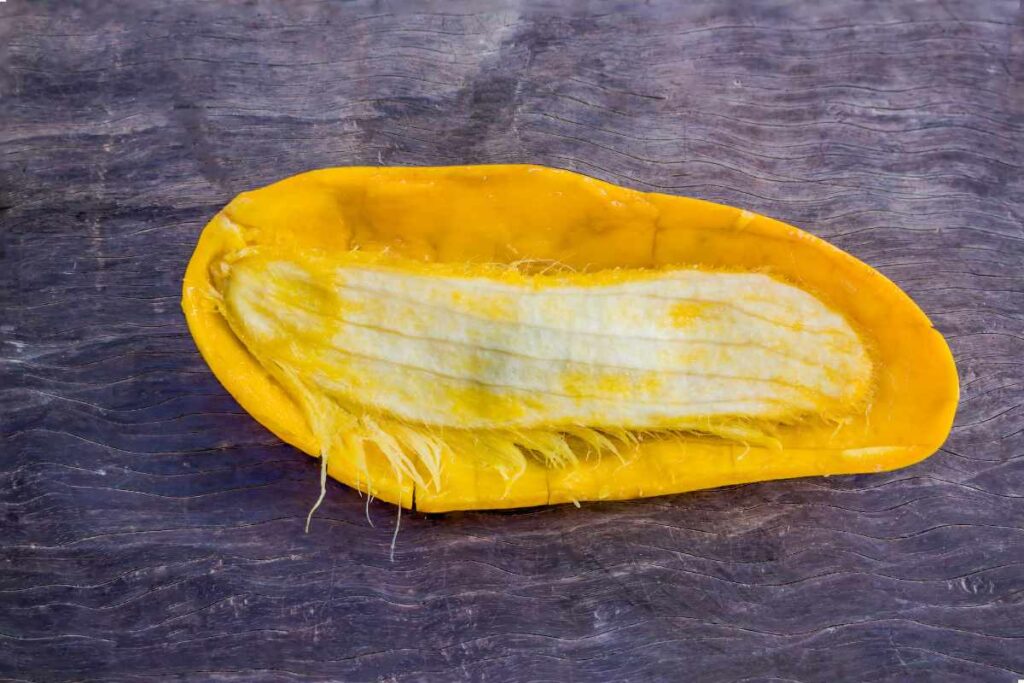 Guide to Growing Mango Tree from Seed
