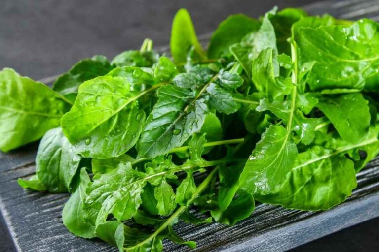 Tips for Growing Arugula Plants