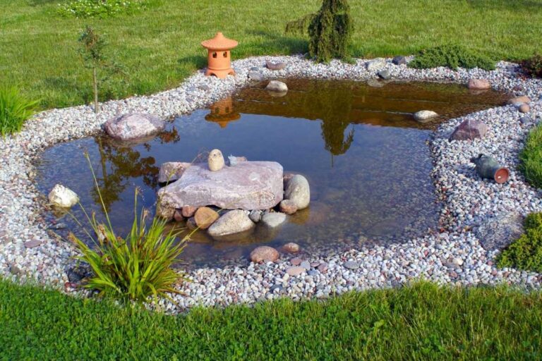 What to Consider When Planning a Wildlife Pond