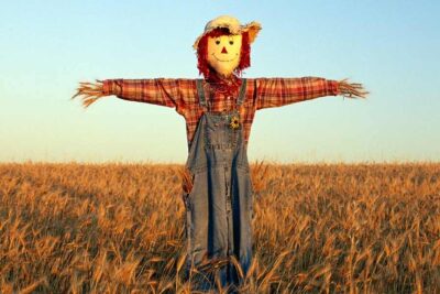 7 Simple Steps to Make the Perfect Scarecrow