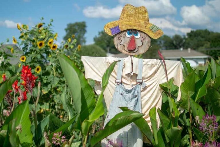 7 Simple Steps to Make the Perfect Scarecrow