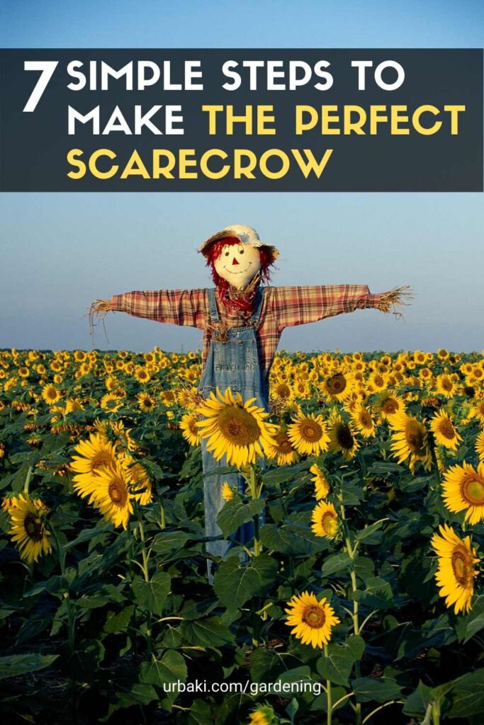 7 Simple Steps to Make the Perfect Scarecrow