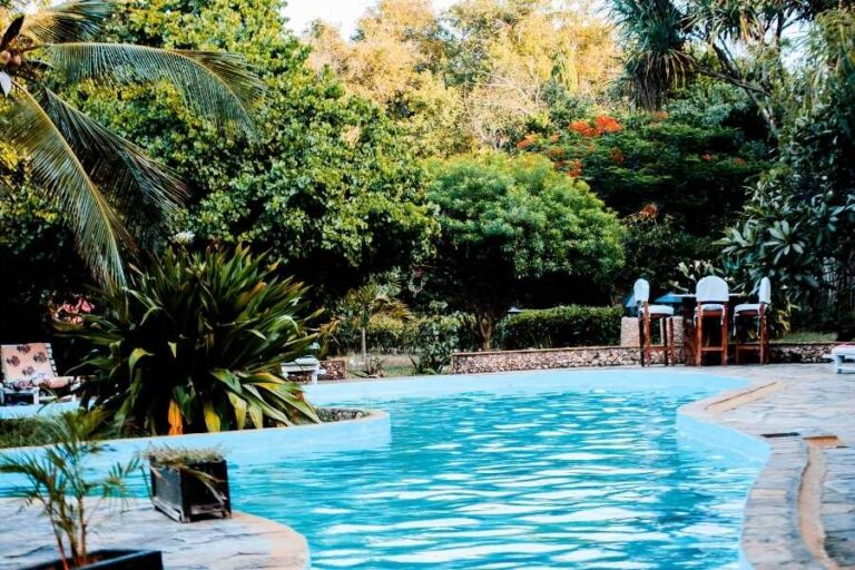 Discover the Best Trees to Plant Around Your Pool
