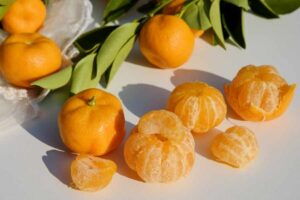 How to Grow Satsuma Trees
