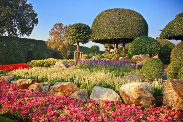 How to Grow a Successful Flower Garden