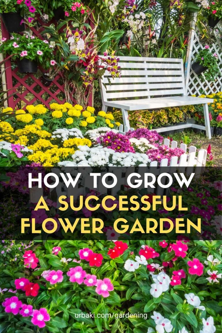How to Grow a Successful Flower Garden