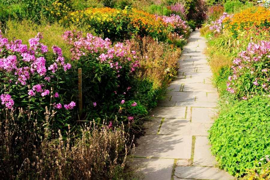 Planting Ideas for Garden Paths and Walkways