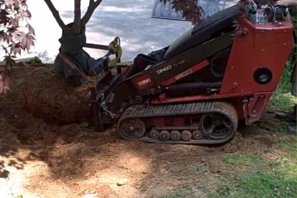 Easy Tips for Moving Trees and Shrubs