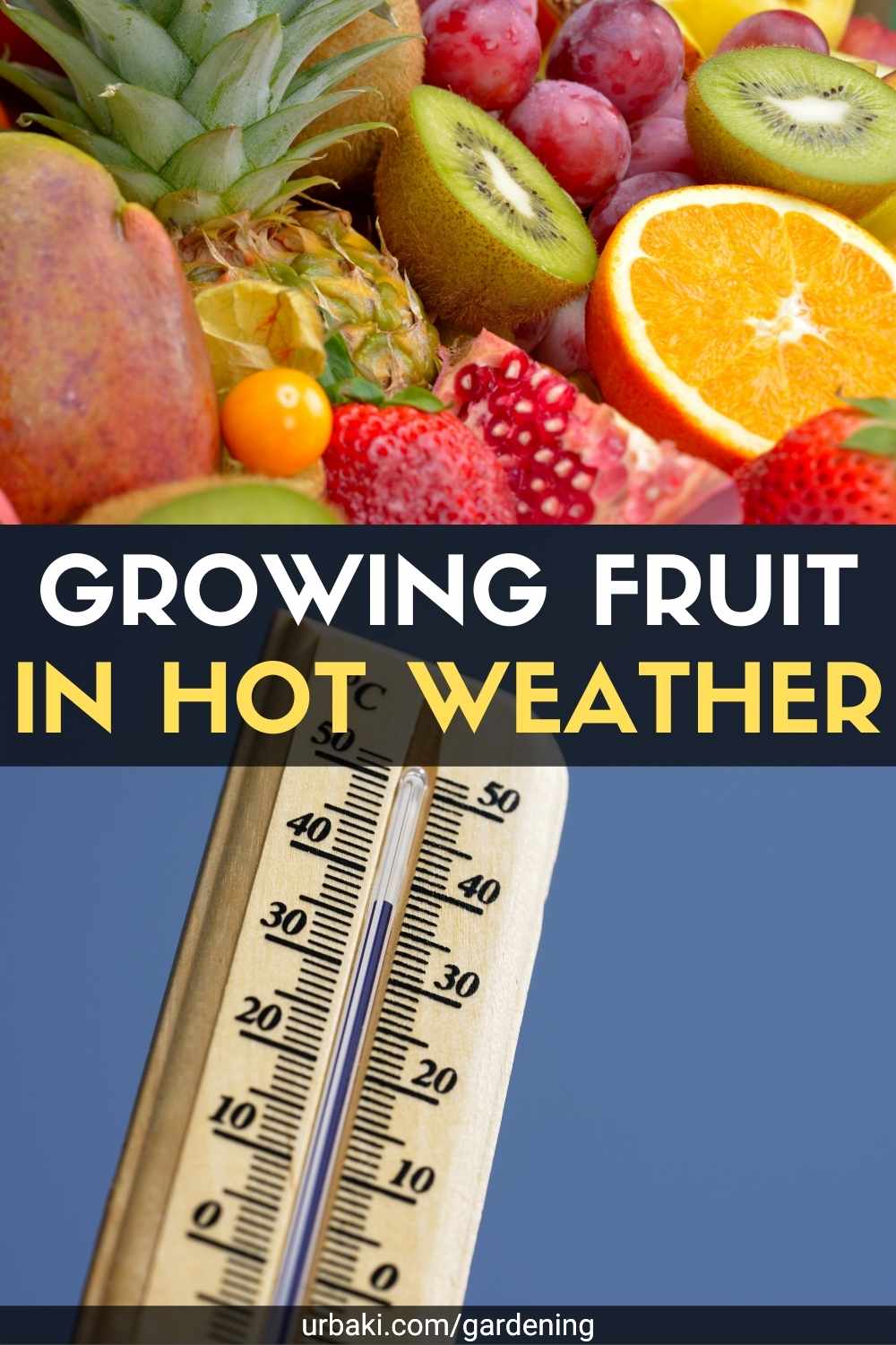 Growing Fruit In Hot Weather