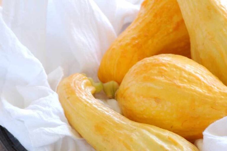 How to Grow Summer Squash in a Container