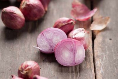 Growing Shallots: The Complete Guide