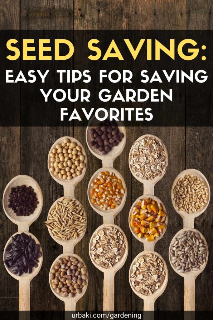 Seed Saving: Easy Tips for Saving Your Garden Favorites