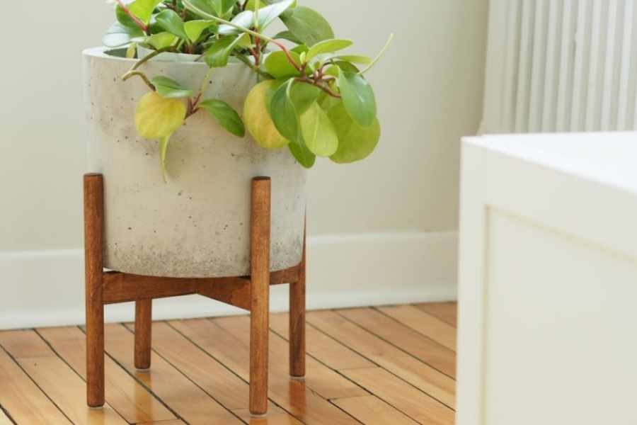 Learn How to Make an Elegant Large Concrete Planter