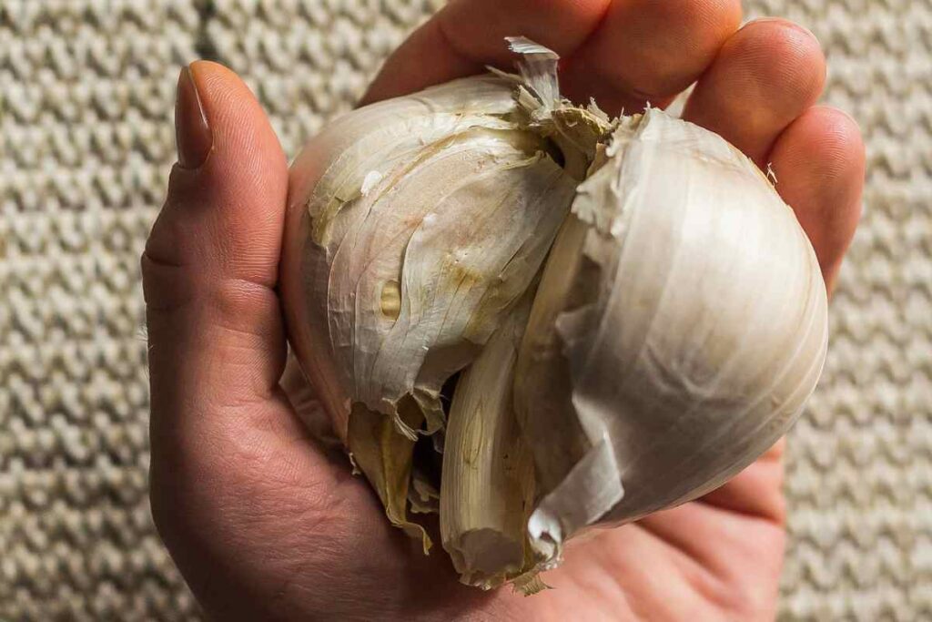 6 Reasons Why Your Garlic Bulbs Are Small