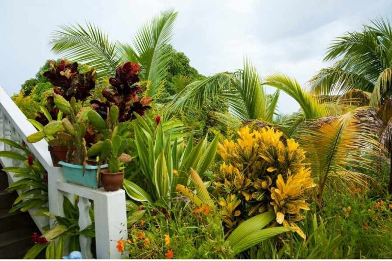 10 Tips To Create Your Own Tropical Garden